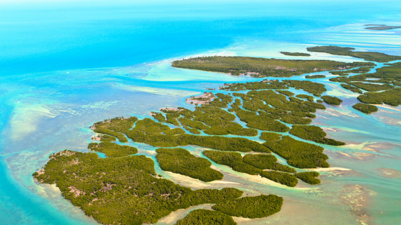 The Best Time to Visit Key West | Tradewind Aviation